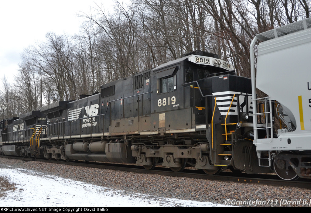 NS 8819